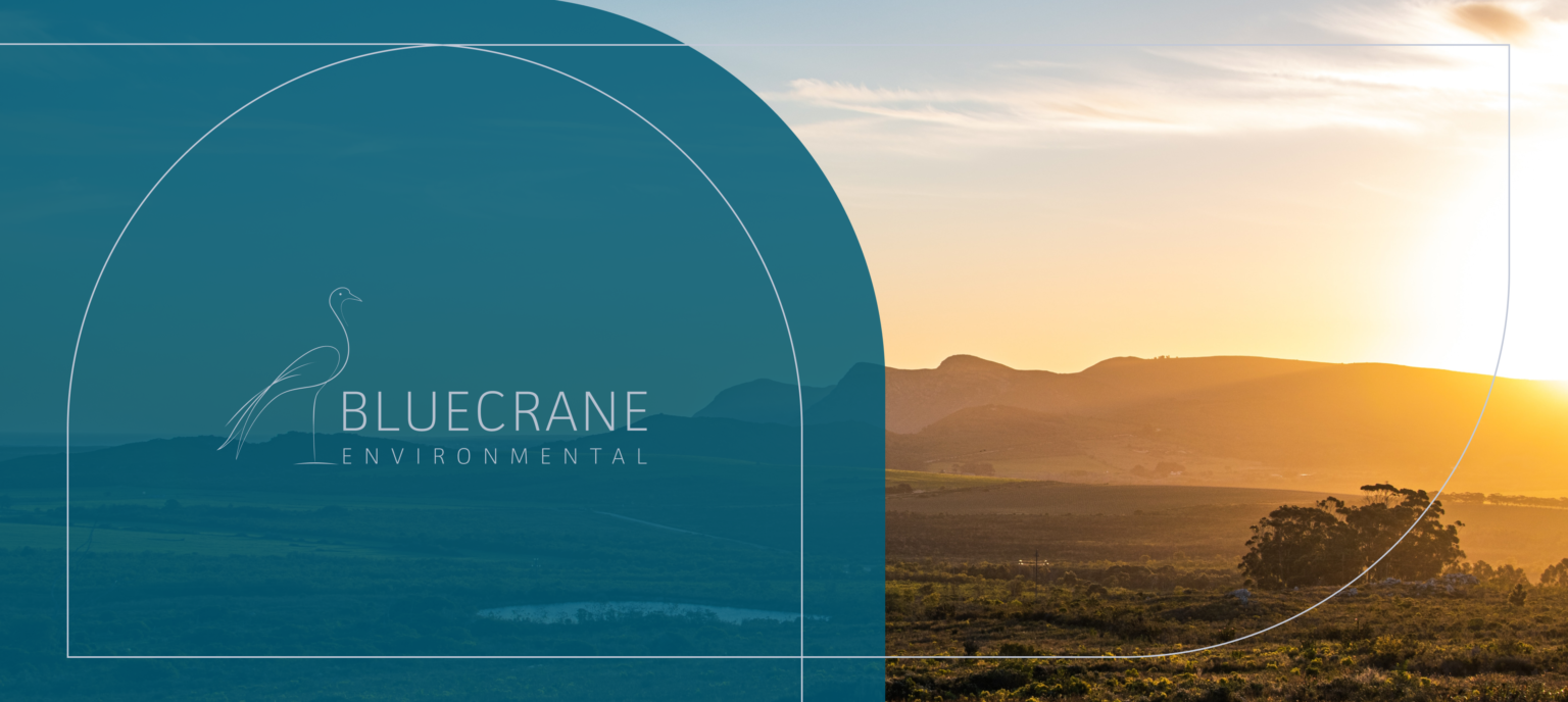 Blue Crane Tailored Services